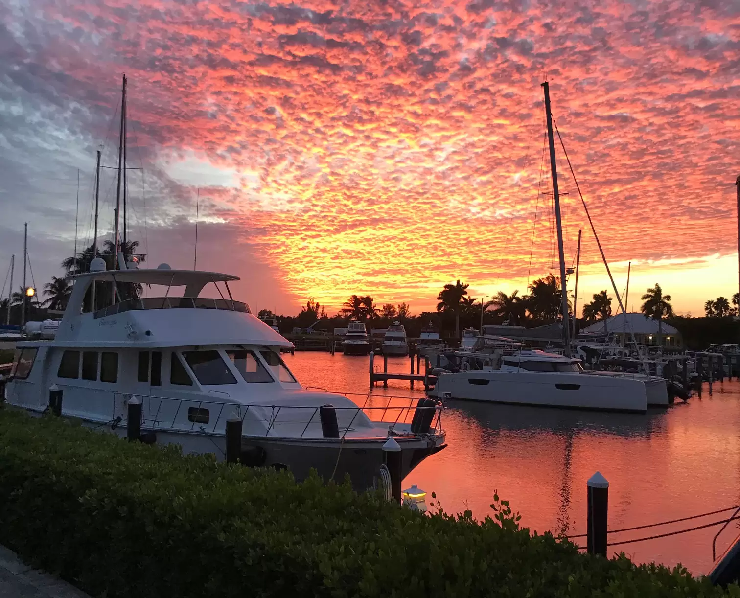 Waterway Guide | Tarpon Point Marina