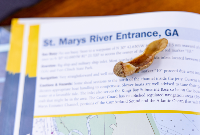 Waterway Guide | Navigating the Inlets of the Atlantic ICW